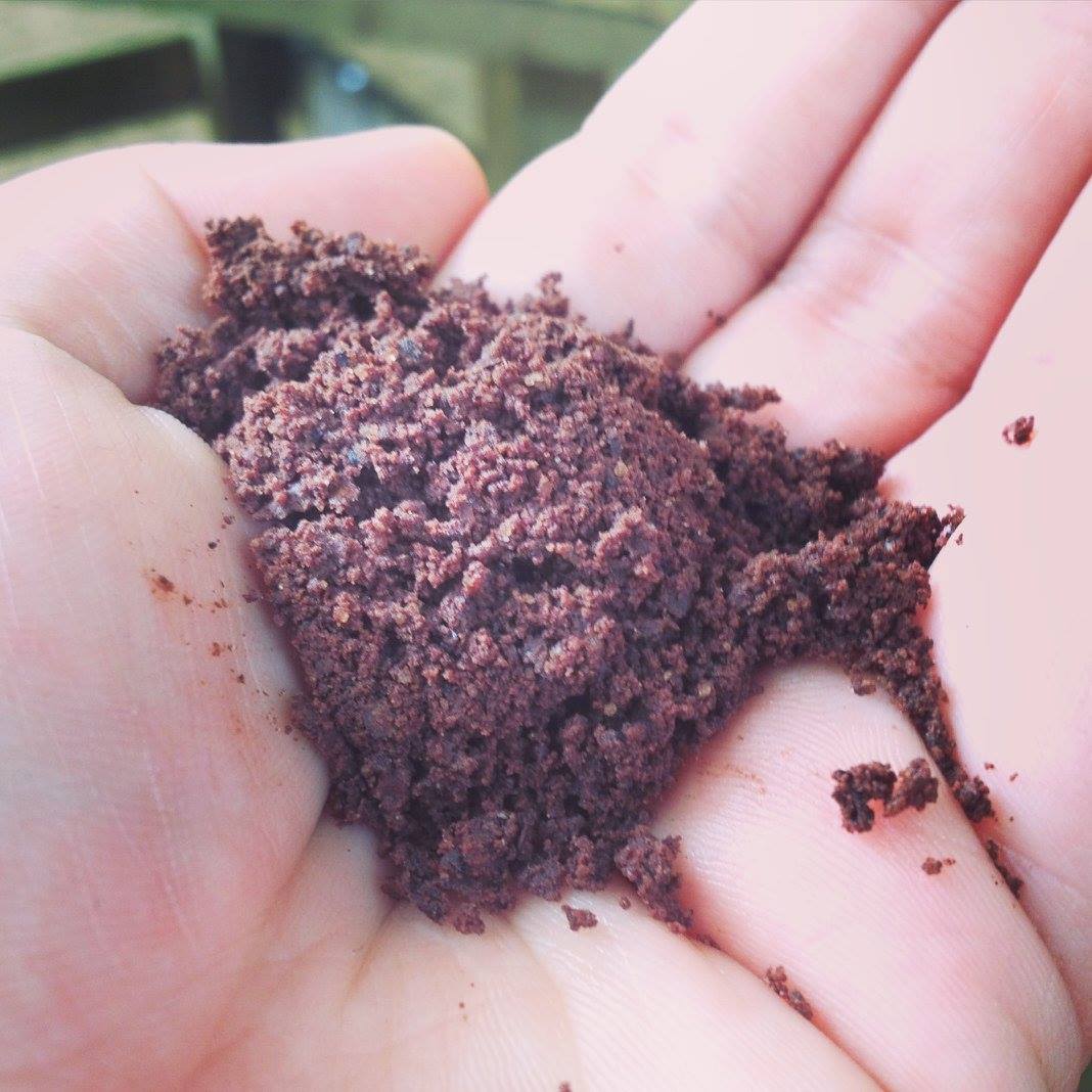 Chocolate – Ami Maxine